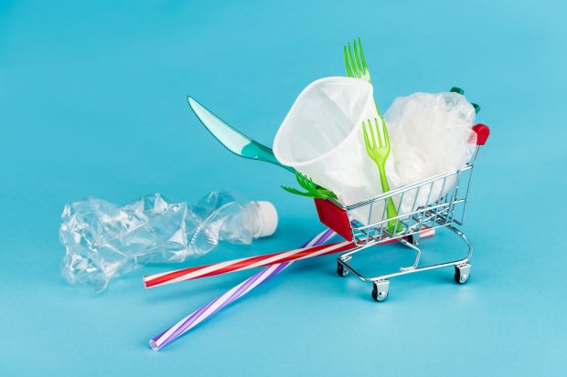 Indonesia to Impose Ban on Single-Use Plastics in 2029 | D-Insights