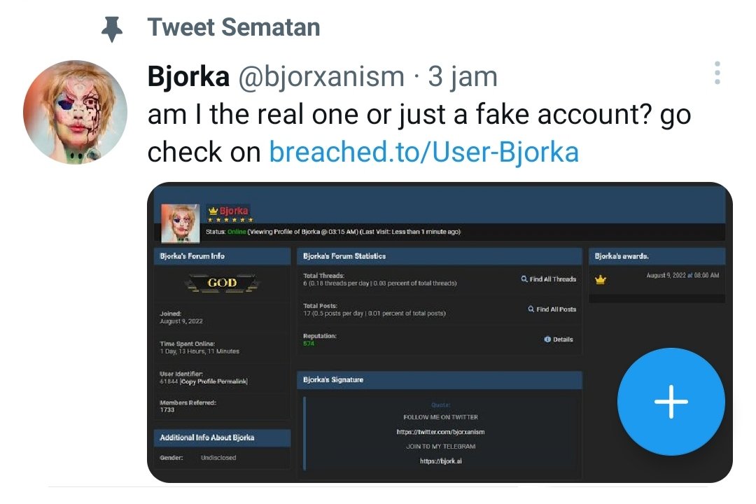 Kata Ahli IT soal Akun Twitter Hacker Bjorka Asli atau Palsu - News+ on ...
