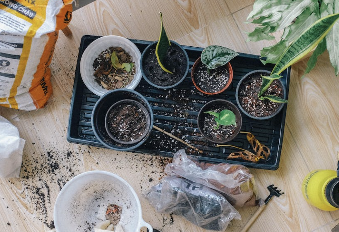 Panduan Berkebun di Balkon yang Mudah Diterapkan - Varia Katadata.co.id