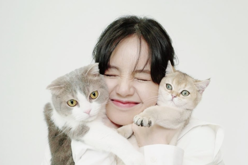 Harga 5 Kucing Lisa Blackpink Sampai Puluhan Juta - Korea Katadata.co.id