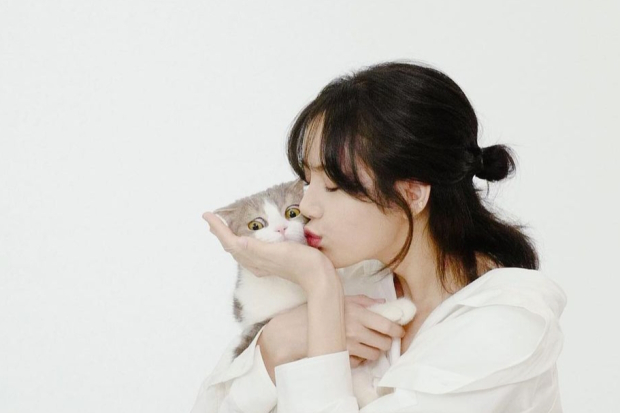 Harga 5 Kucing Lisa Blackpink Sampai Puluhan Juta - Korea Katadata.co.id