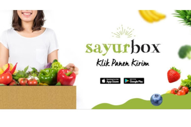 Kisah Sukses Amanda Susanti, Berhenti Kerja Demi Bisnis Sayurbox - Hits ...