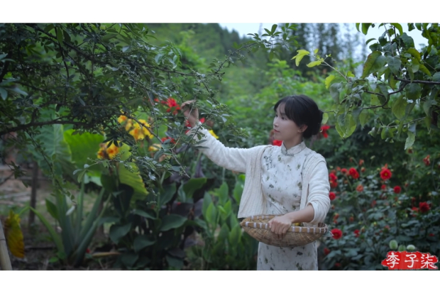 10 Fakta Li Ziqi, YouTuber Peraih Rekor Dunia Berpenghasilan Rp19,9 M ...