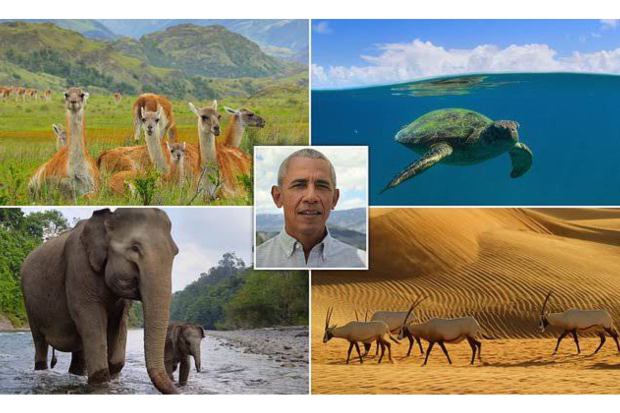 Sinopsis Our Great National Parks, Barack Obama Kenalkan Gunung Leuser ...