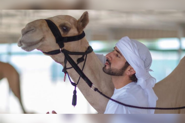 Profil dan Biodata Fazza, Pria Dubai Hoaks Nikahi Laudya Cynthia Bella ...