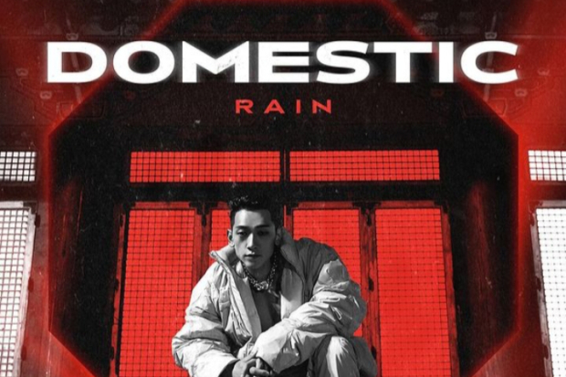 Rain Buka Suara Soal Lagu Domestic Dituduh Jiplak Karya Armani White ...