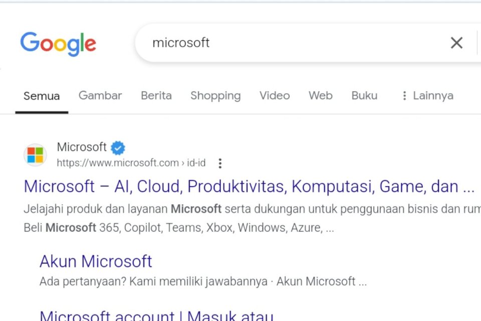 Google Uji Coba Verifikasi Centang Biru untuk Situs Web, Berikut Cara ...