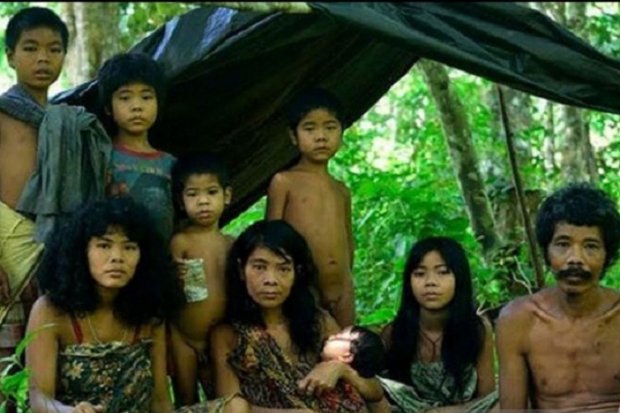 Berita Suku Anak Dalam Terbaru dan Terkini Hari Ini - Katadata.co.id